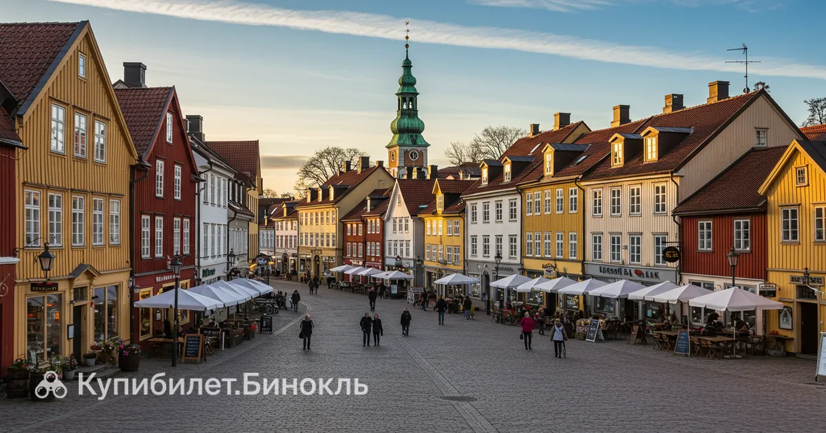 How to get to Hedemora – train, bus & car guide